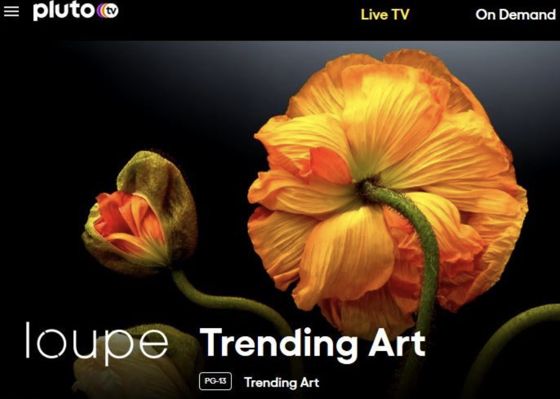 Loupe Premieres on Pluto TV - Sound Media Ventures